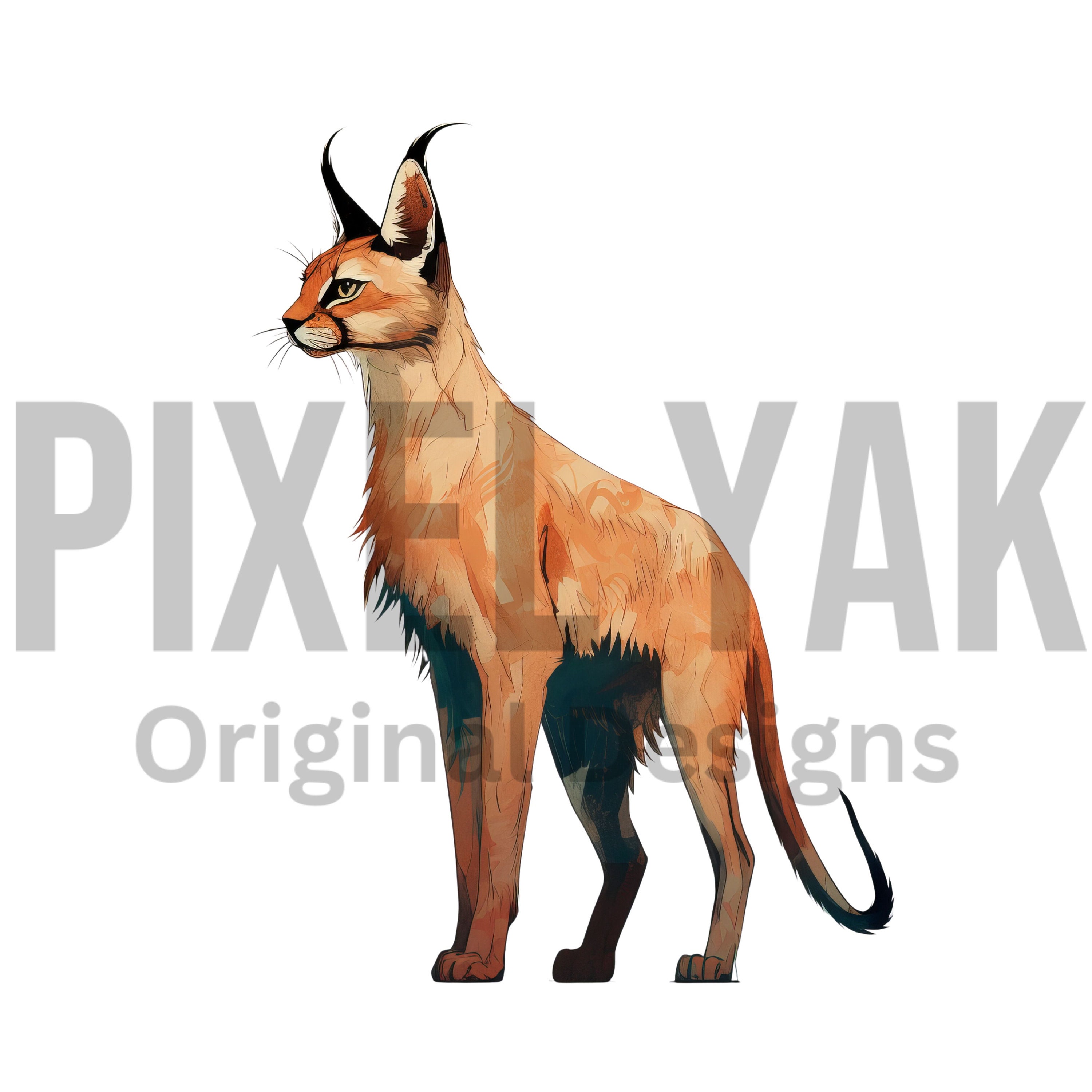 Caracal PNG, Commercial Use, Caracal Cat, Wild Cat, Caracal Transparent ...