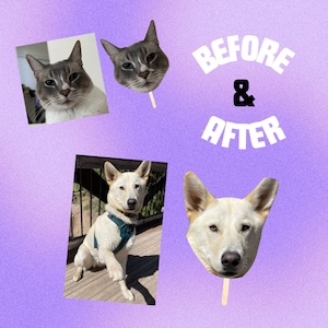 Custom Pet Head on a Stick: Personalized Photo Booth Wedding Prop - Etsy