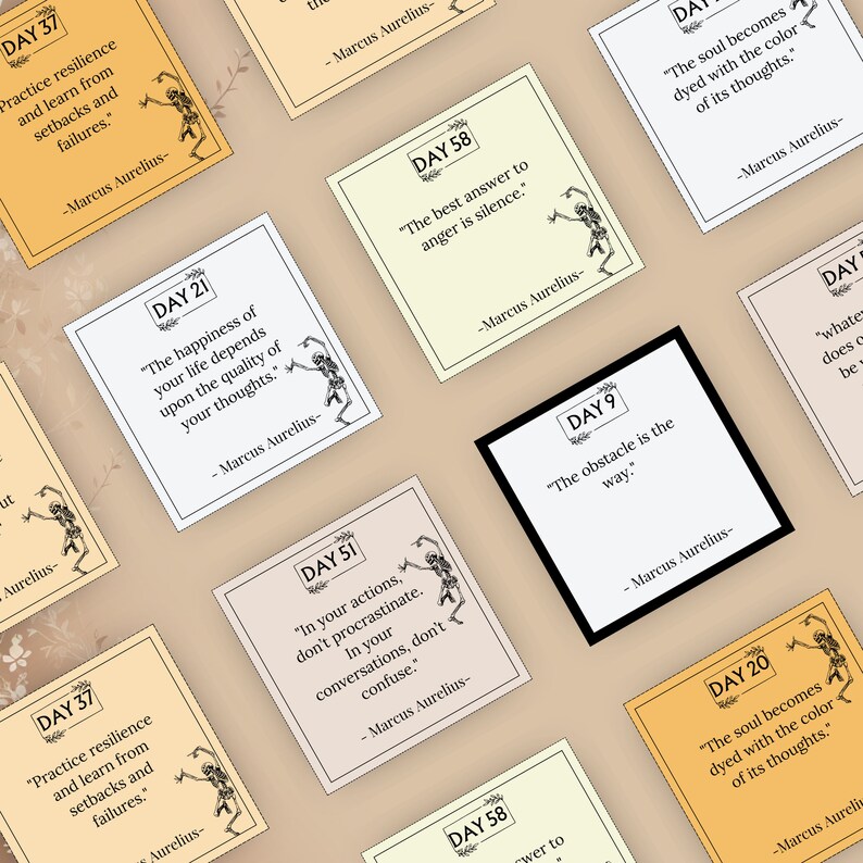 Marcus Aurelius Stoic Quote Cards: Daily Wisdom, 60 Cards Motivation ...