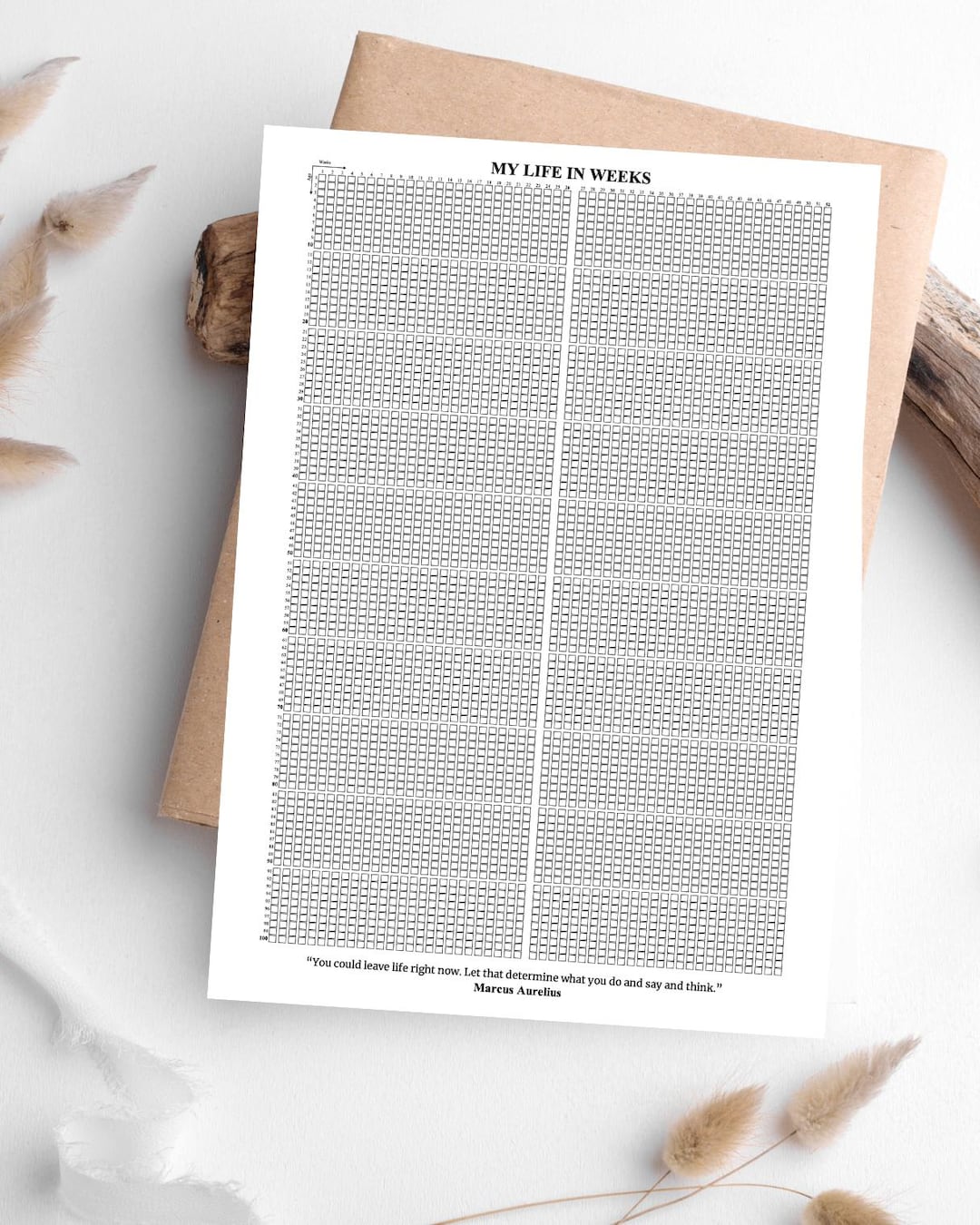 Marcus Aurelius Poster Life in Weeks Calendar | Momento Mori | My Life ...