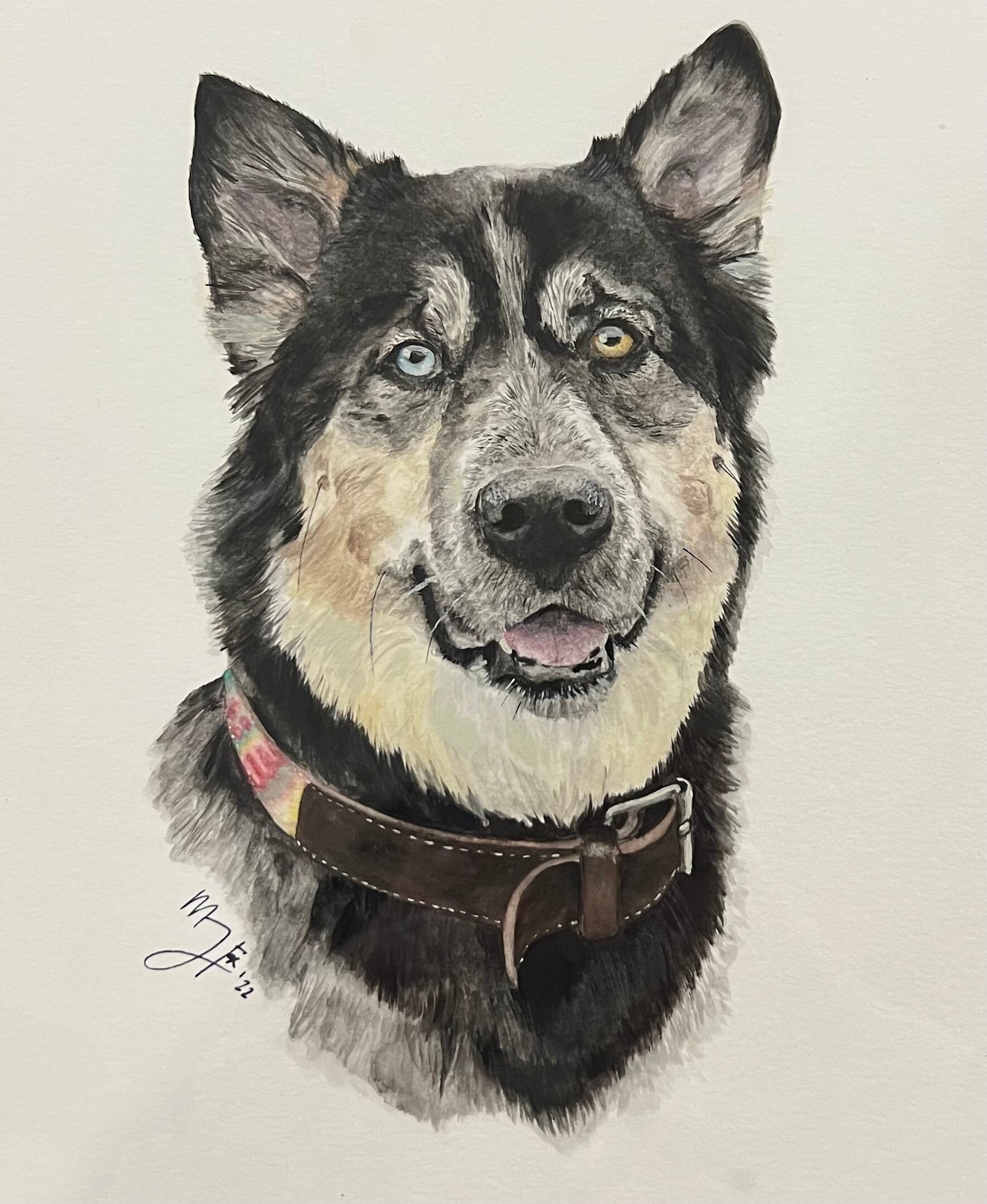 Watercolor Animal Portraits - Etsy
