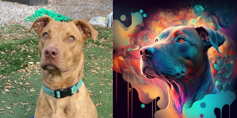 Custom Pet Portraits Using Pet Photo Personalized Digital Dog Portraits ...