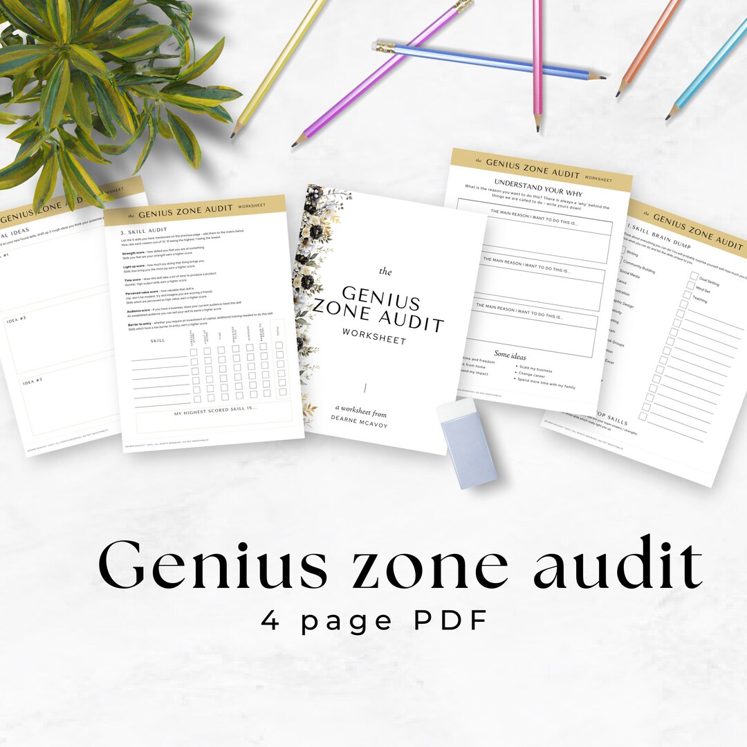 Genius Zone Audit - Etsy
