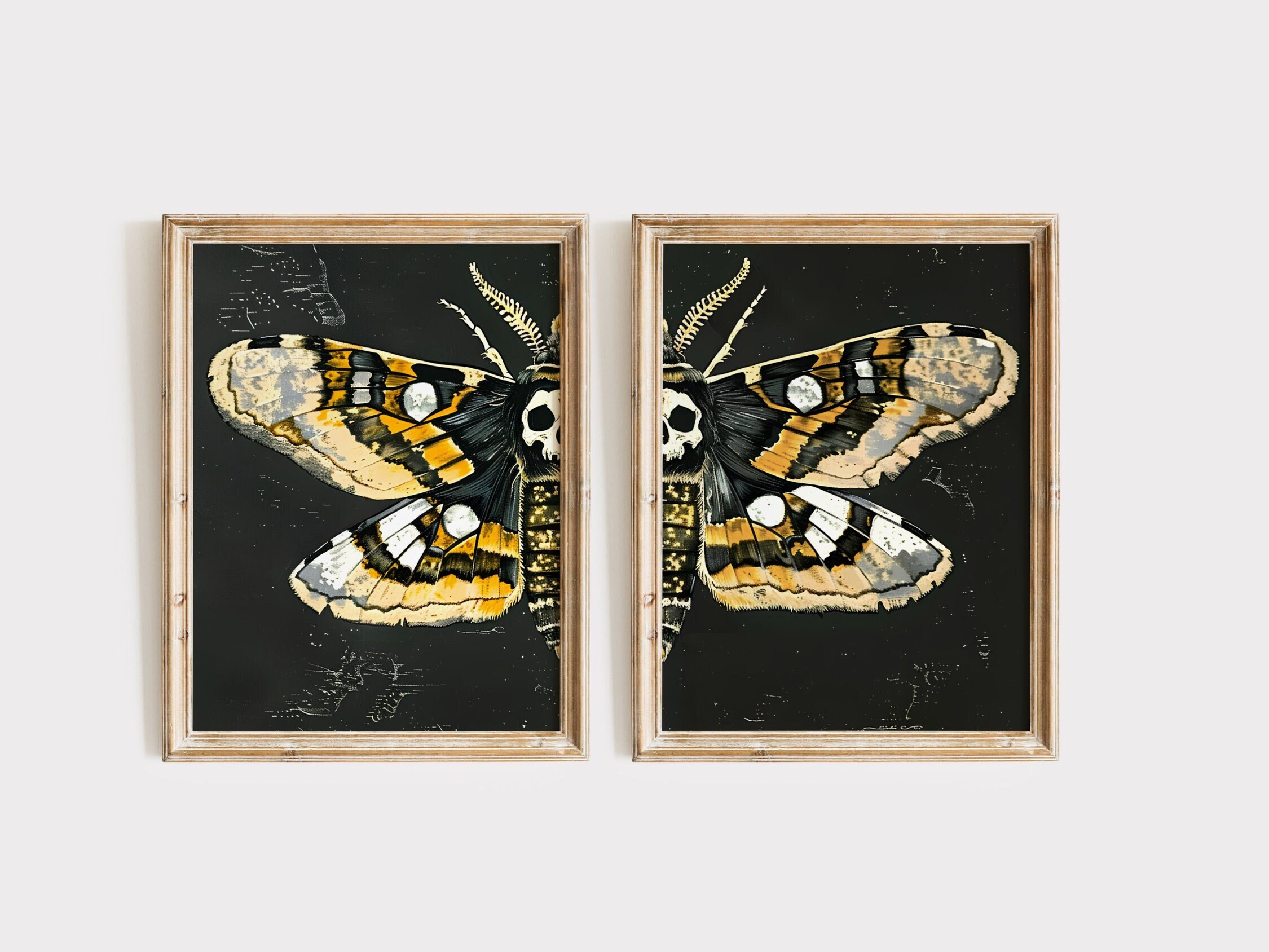 Moth Art, Botanical Illustrations, Magic Art Print, Boho Aesthetic ...