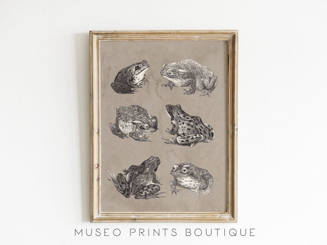 Vintage Frog Print | Victorian Cottagecore Wall Art (digital Download ...