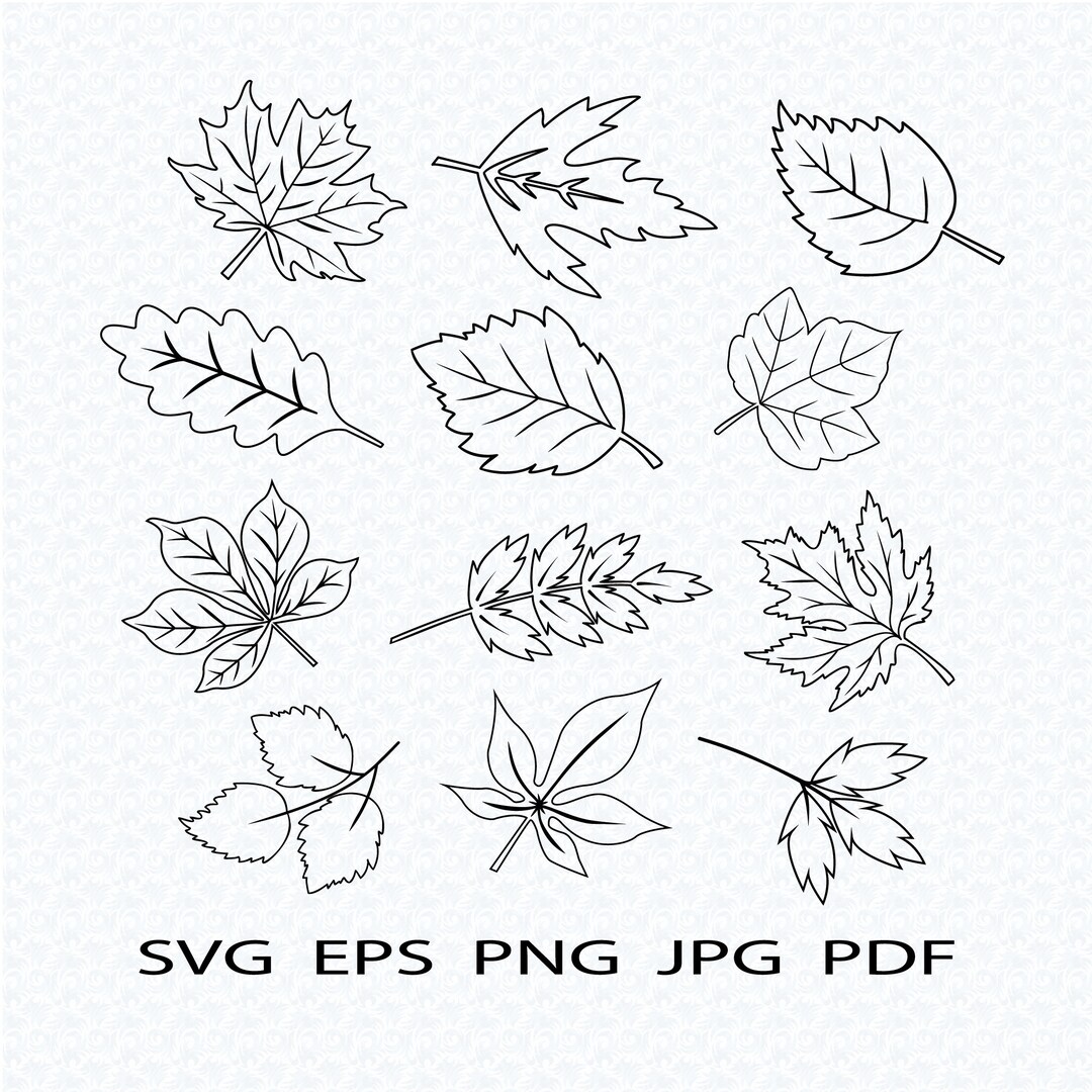 Leaf Cut File Bundle, Fall Leaf Outlines, Leaf SVG Cutting Files, Leaf ...