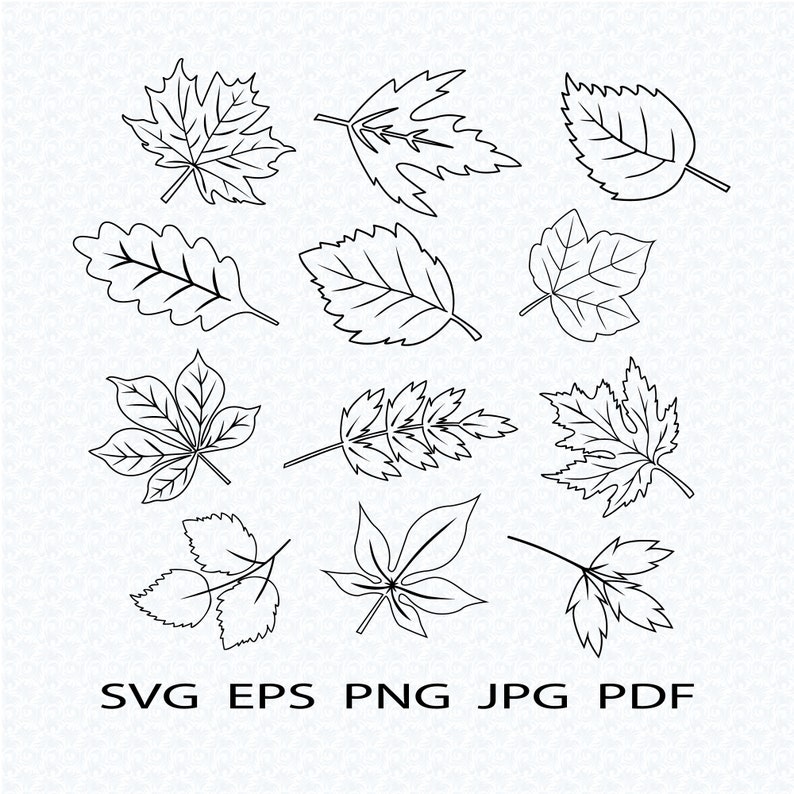 Leaf Cut File Bundle, Fall Leaf Outlines, Leaf SVG Cutting Files, Leaf ...