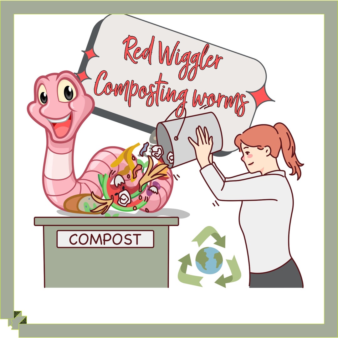 Red Wigglers Composting Worms Vermicompost Nutrient-rich Sustainable ...