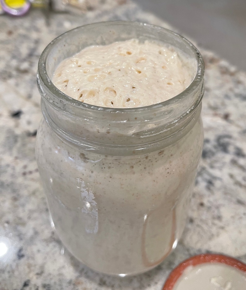 Basic Sourdough Starter Kit With Weck Tulip Jar, San Francisco 150 Year ...
