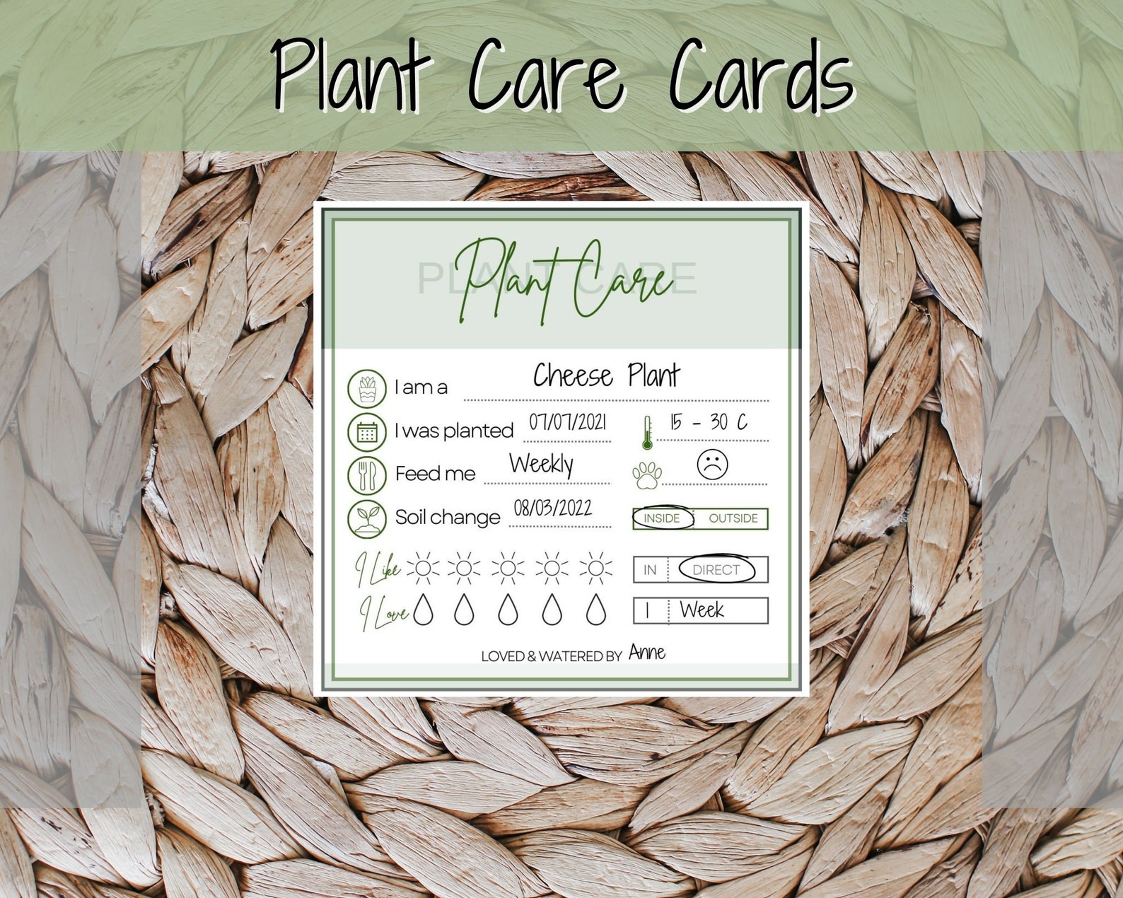 PLANT CARE Instructions Card, Printable Plant Tags, DIGITAL Care Card ...