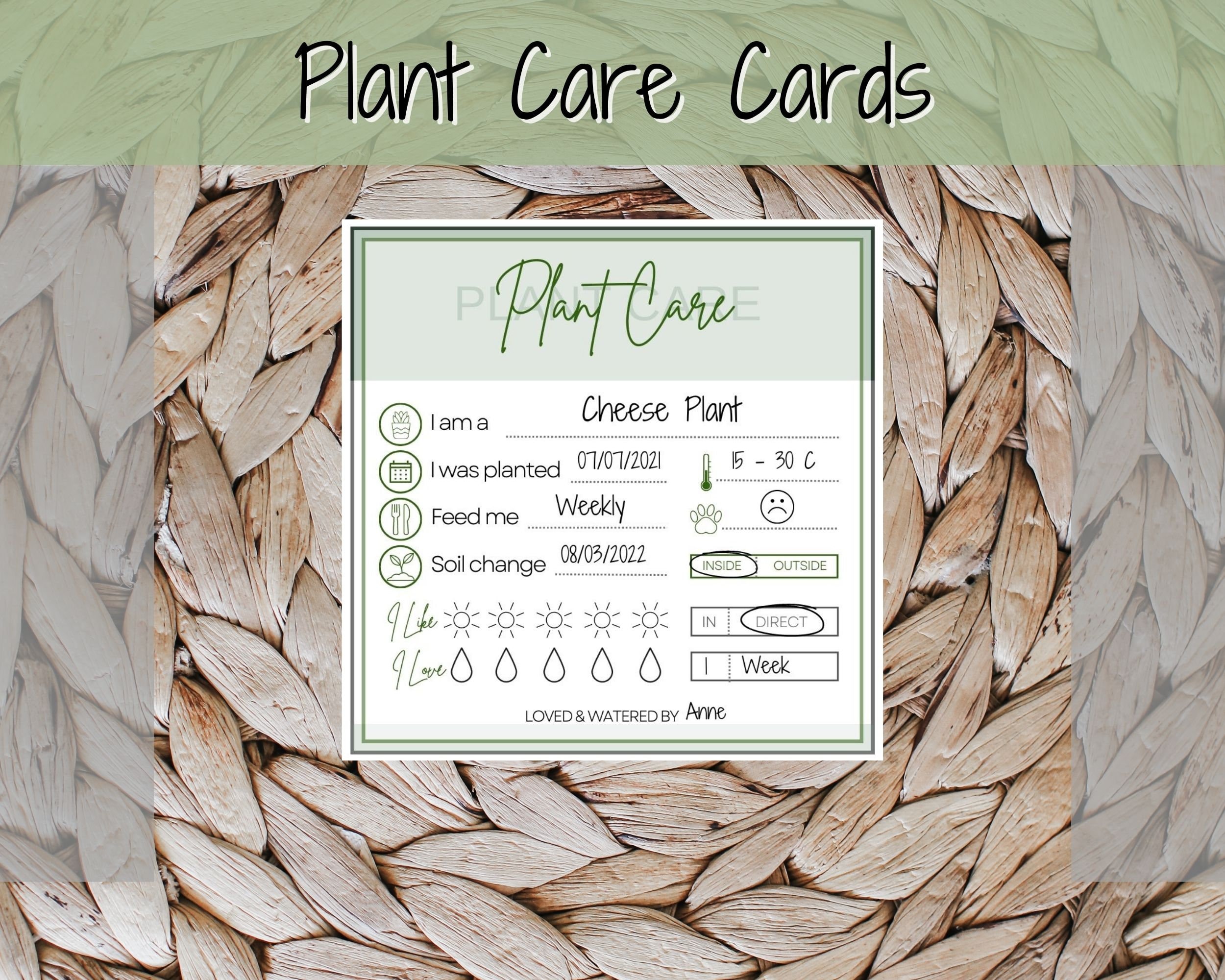 PLANT CARE Instructions Card, Printable Plant Tags, DIGITAL Care Card ...
