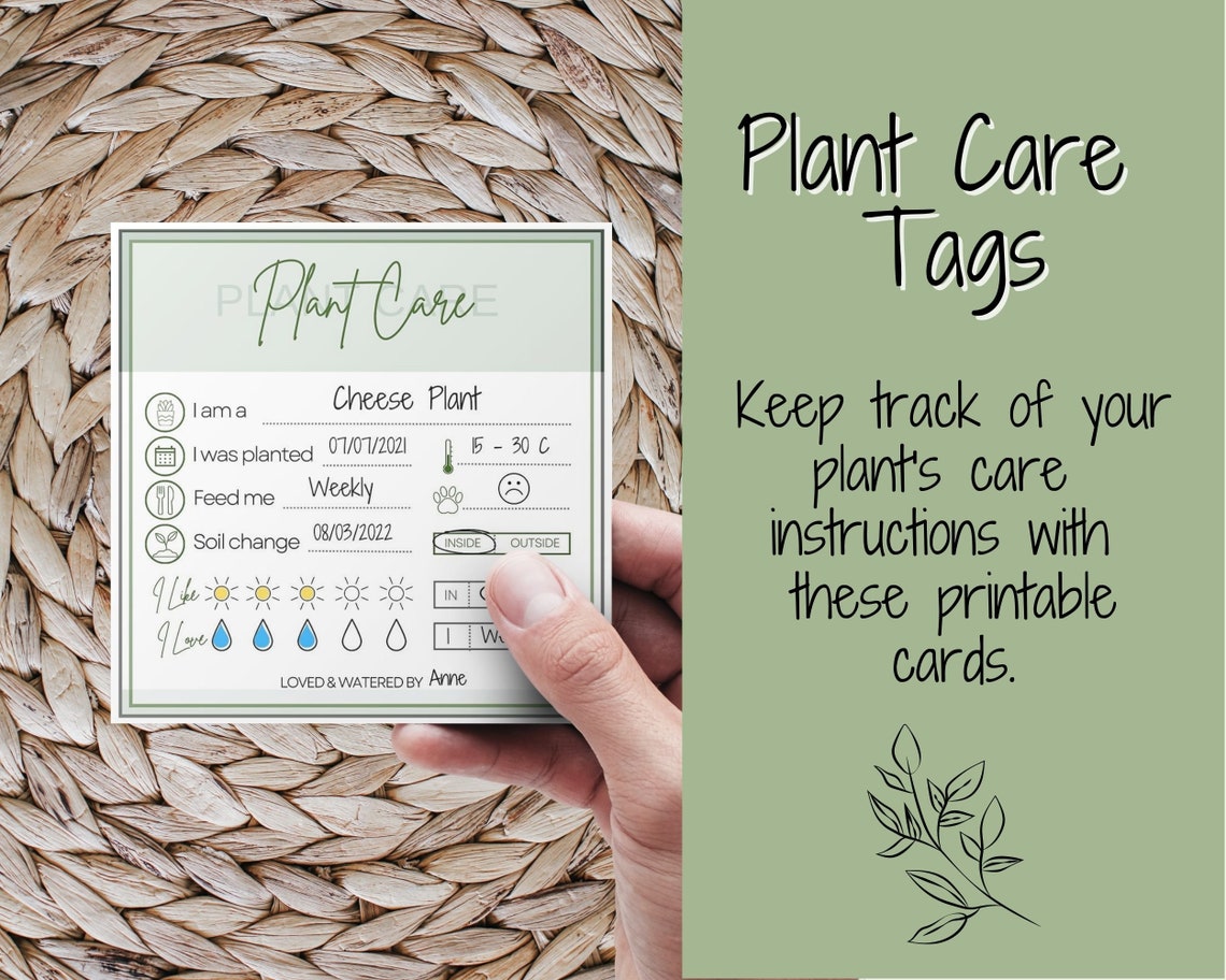 PLANT CARE Instructions Card, Printable Plant Tags, DIGITAL Care Card ...