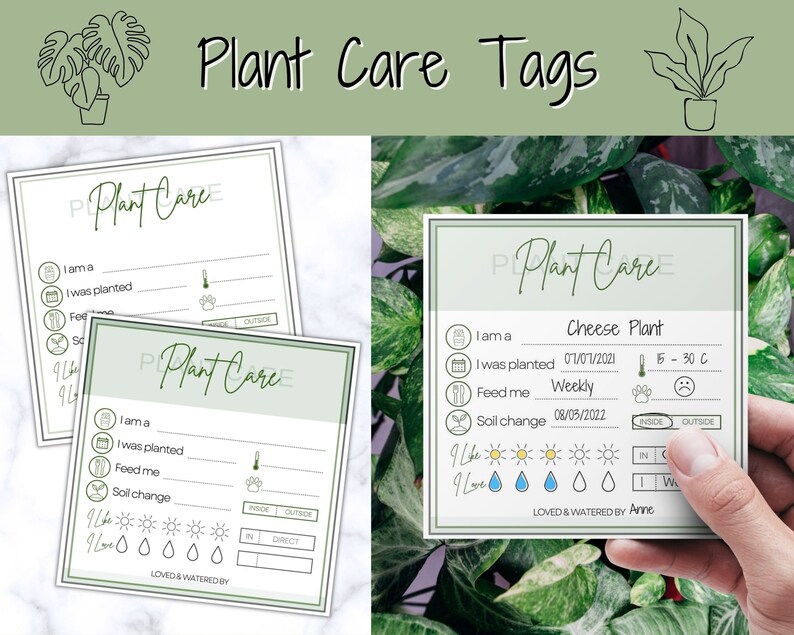 PLANT CARE Instructions Card, Printable Plant Tags, DIGITAL Care Card ...