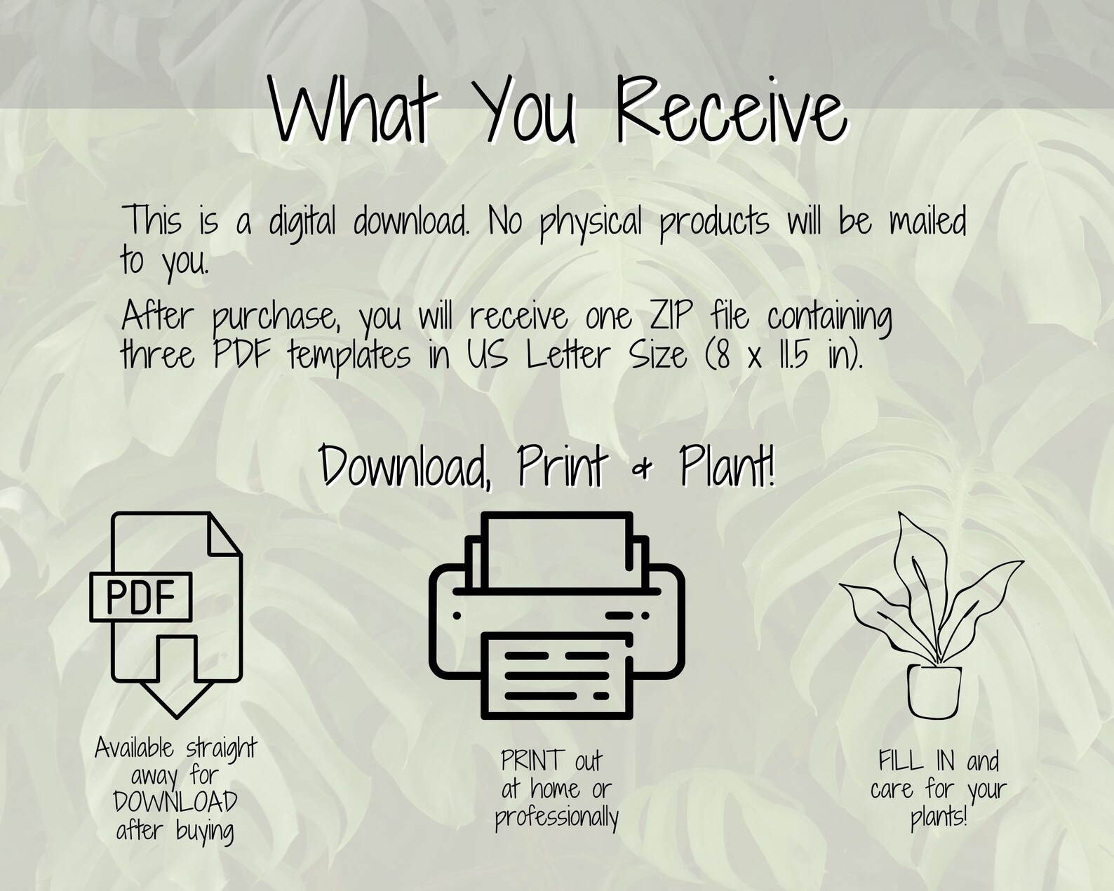 PLANT CARE Instructions Card, Printable Plant Tags, DIGITAL Care Card ...