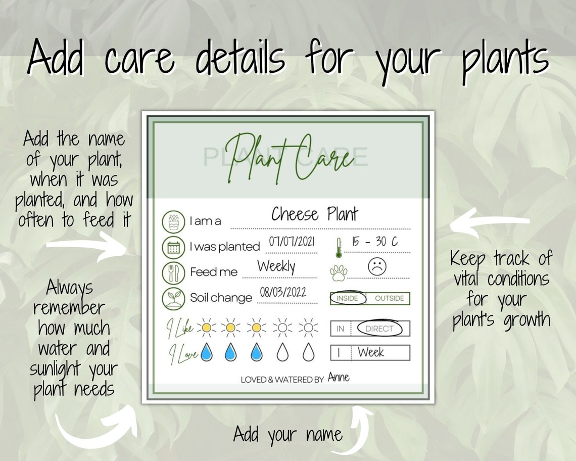 PLANT CARE Instructions Card, Printable Plant Tags, DIGITAL Care Card ...