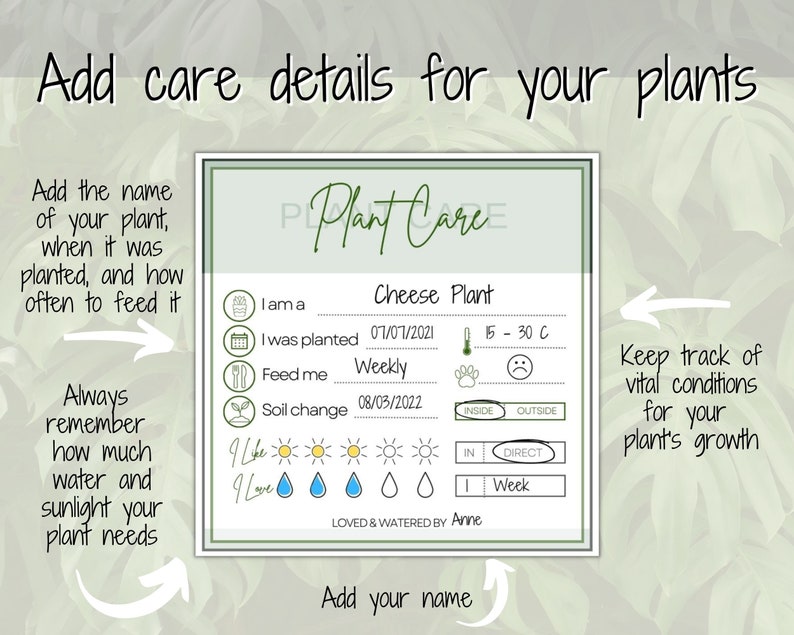 PLANT CARE Instructions Card, Printable Plant Tags, DIGITAL Care Card ...