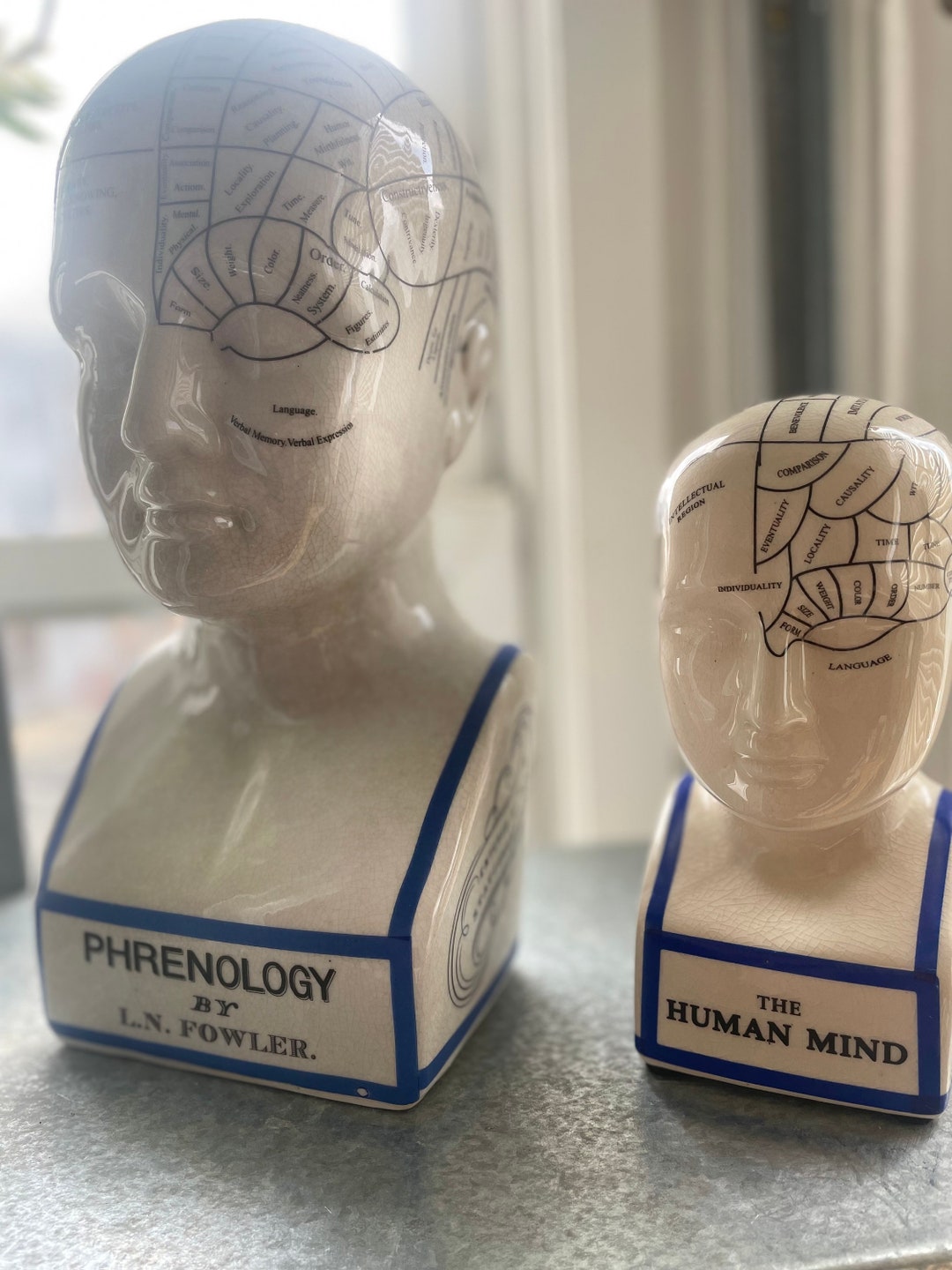 PAIR of Medical Porcelain Human Heads - Etsy