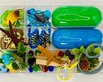 Insect Playdough Sensory Kit - Etsy
