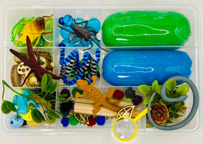 Insect and Reptile Play Dough Kit, Reptile Playdough Kit, Insect ...