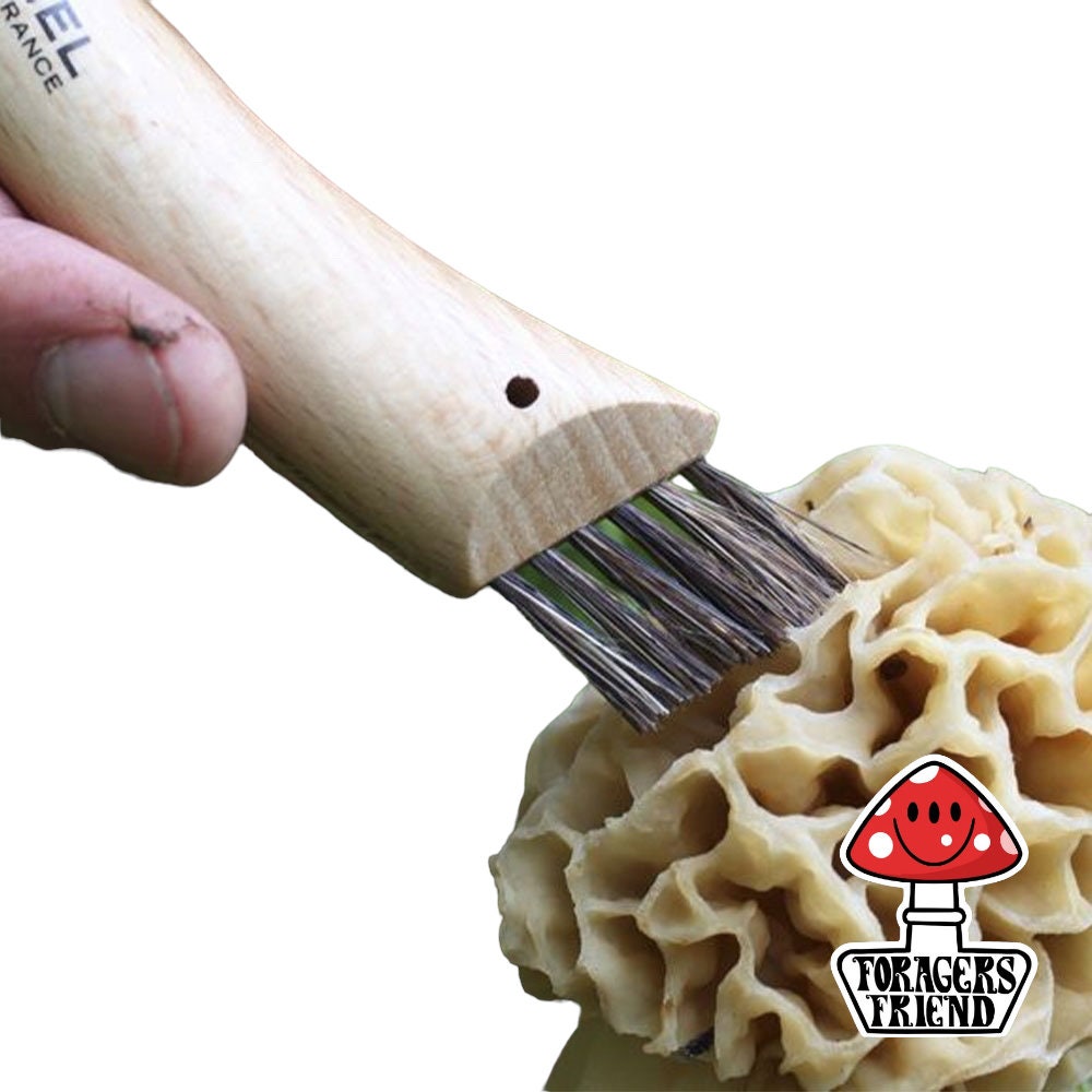 Foragers Friend Mushroom Foraging Tool Fungi Grower & - Etsy Australia