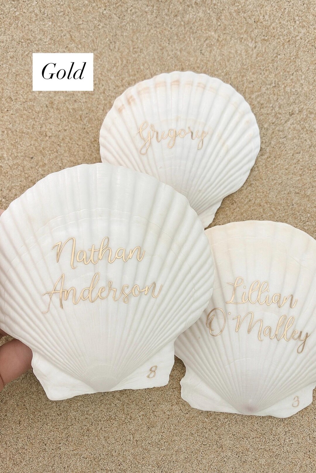 Scallop Shell Place Cards: Wedding Favors, Event Favors, Guest Seating ...