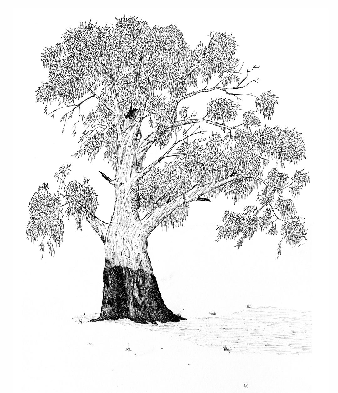 God Bless All Gum Trees - Etsy