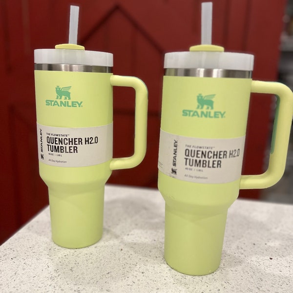 Citron Mix Stanley Cup - Etsy