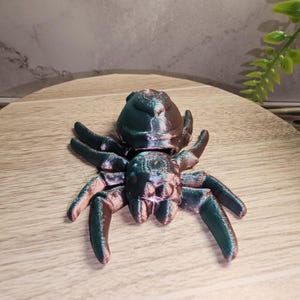 3D Printed Plain Jumping Spider Fidget Toy - Etsy