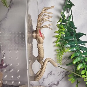 3D Printed Facehugger Jumping Spider Platform Hide - Etsy