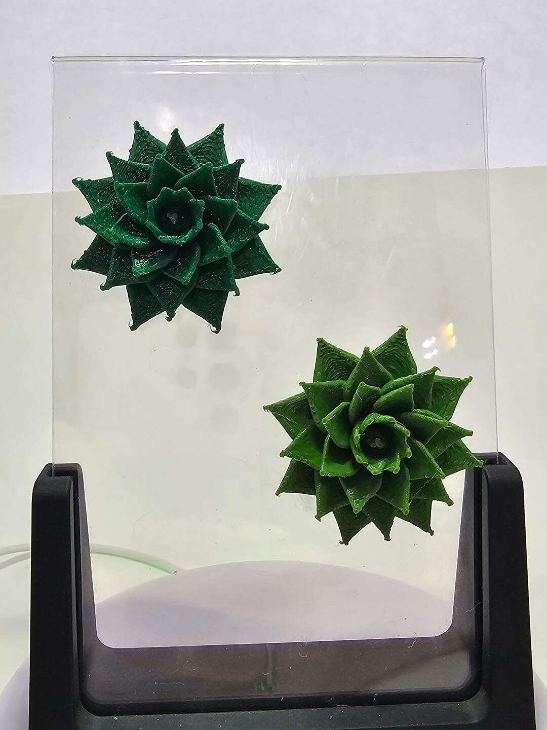 3D Printed Magnetic Succulent Platform Jumping Spider Hide - Etsy