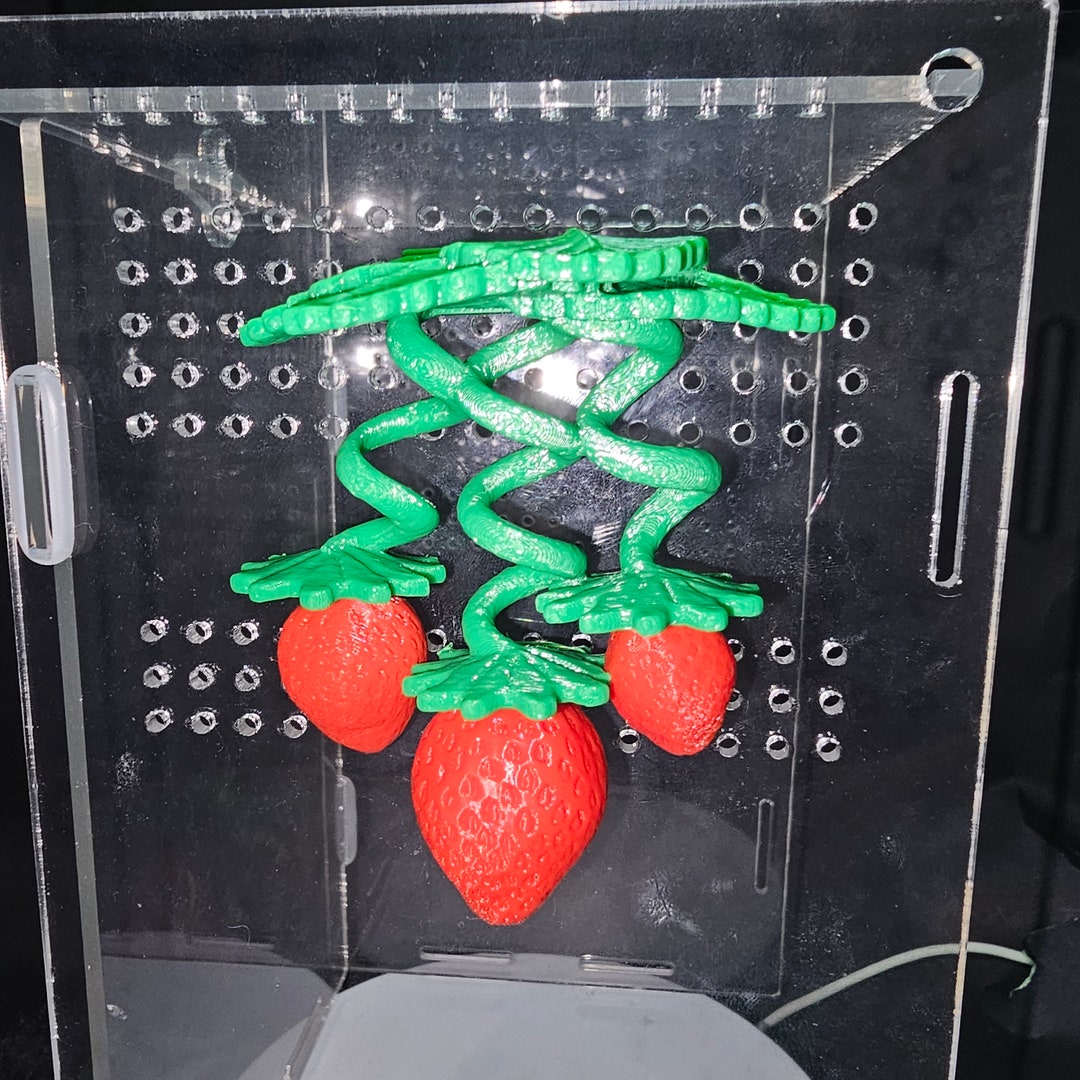 3D Printer Strawberry Bunch Jumping Spider Hide - Etsy