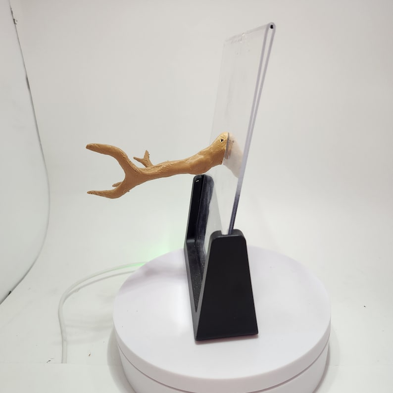 3D Printed Magnetic Tree Branch Jumping Spider Decor - Etsy