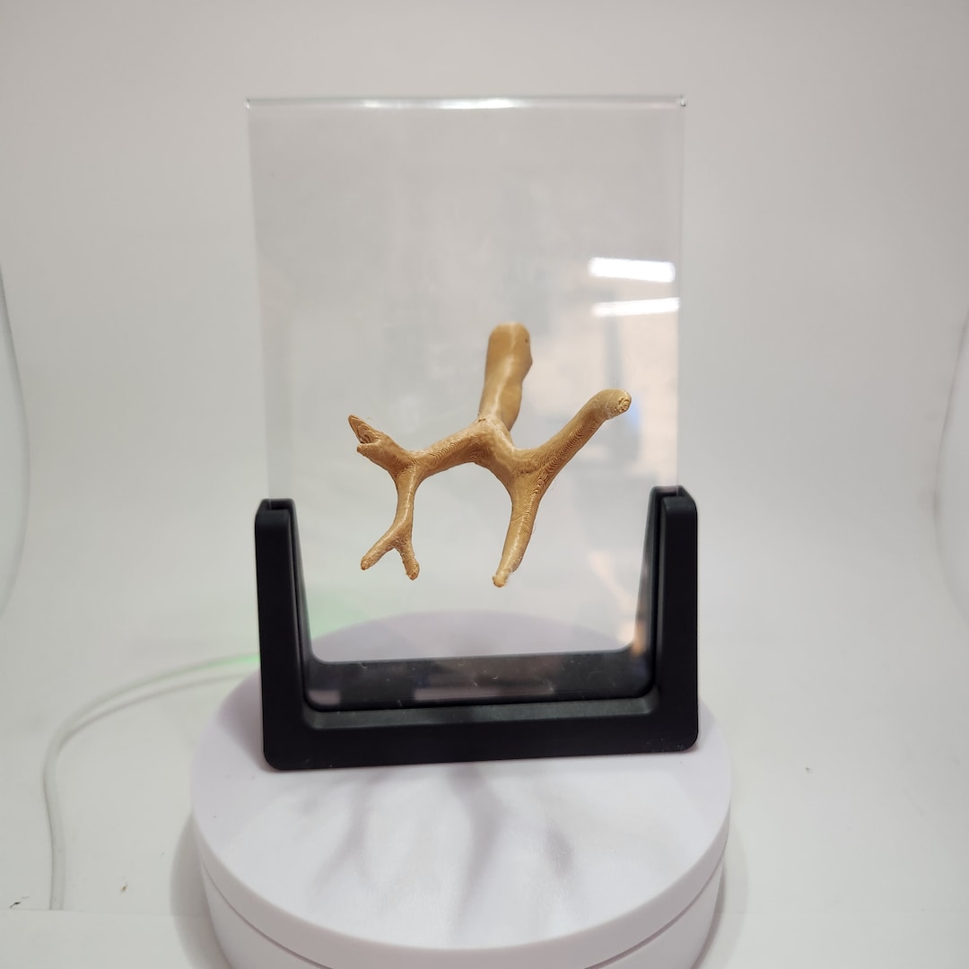 3D Printed Magnetic Tree Branch Jumping Spider Decor- Vertical- Small ...