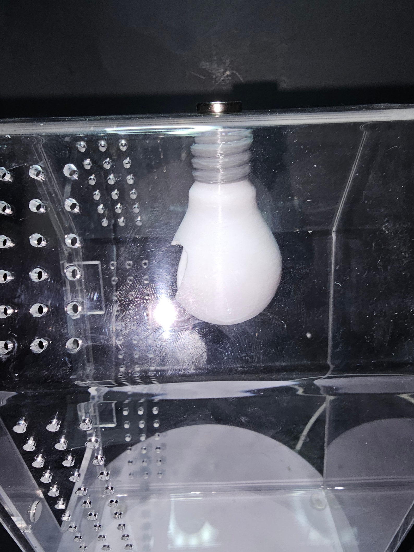 3D Printed Light Bulb Jumping Spider Hide- Multi-color Print- No ...