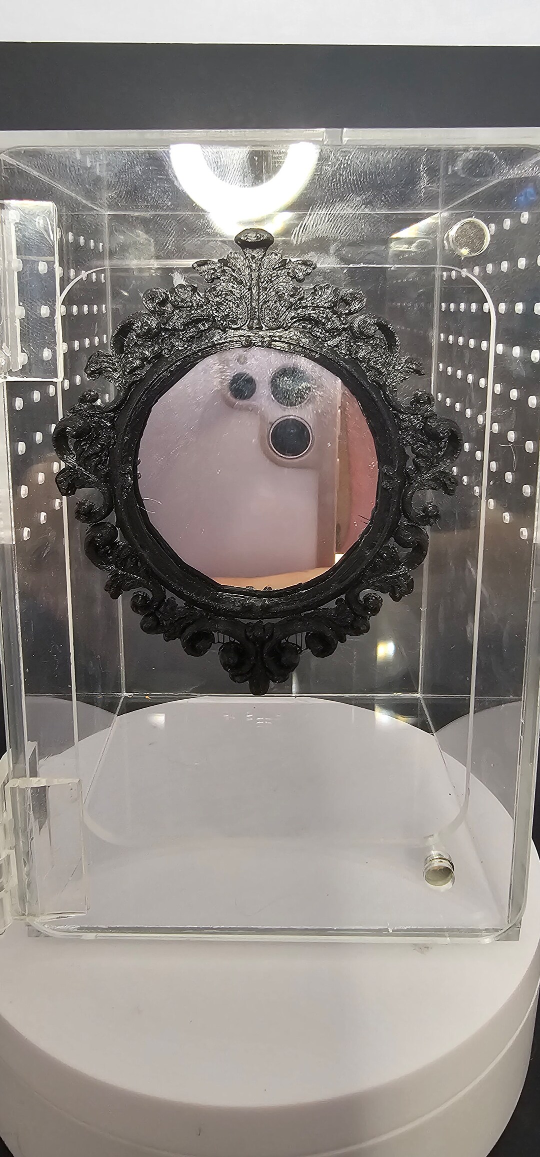 3D Printed Gothic Style Magnetic Mirror Jumping Spider Hide - Etsy