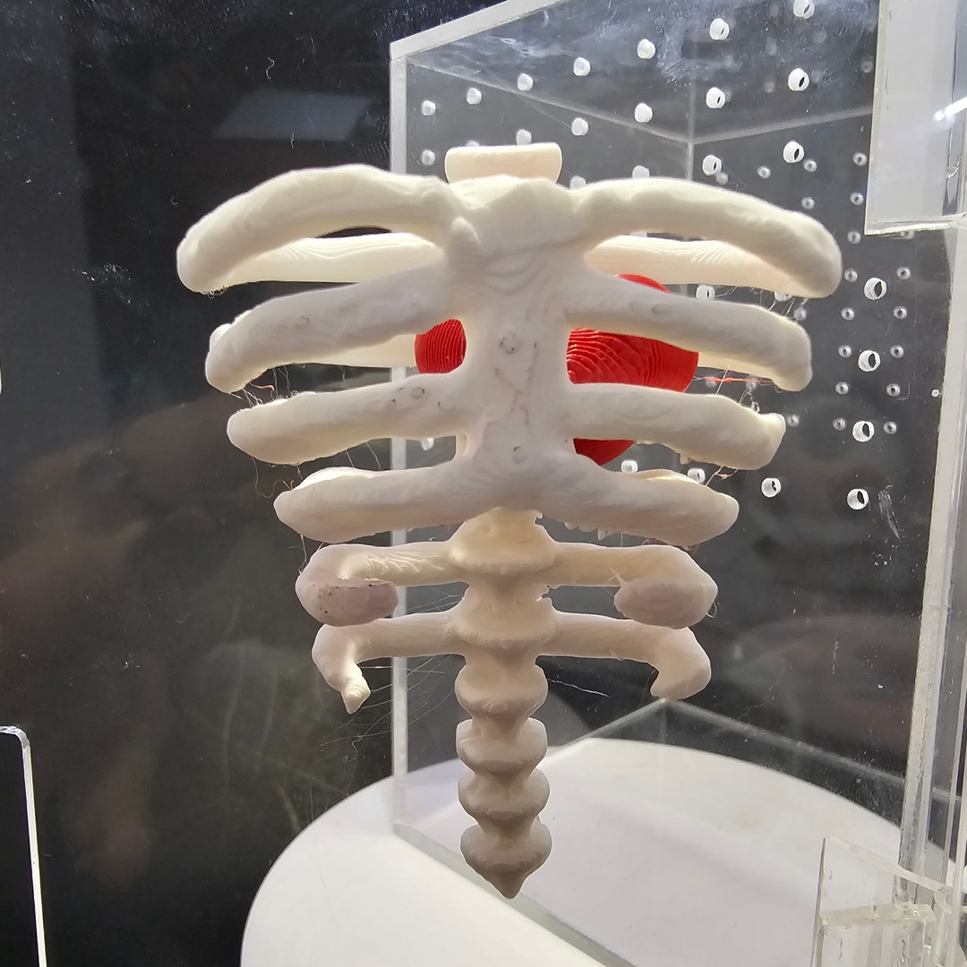 3D Printed Ribcage Jumping Spider Hide- Multi-color Print- No Painting ...