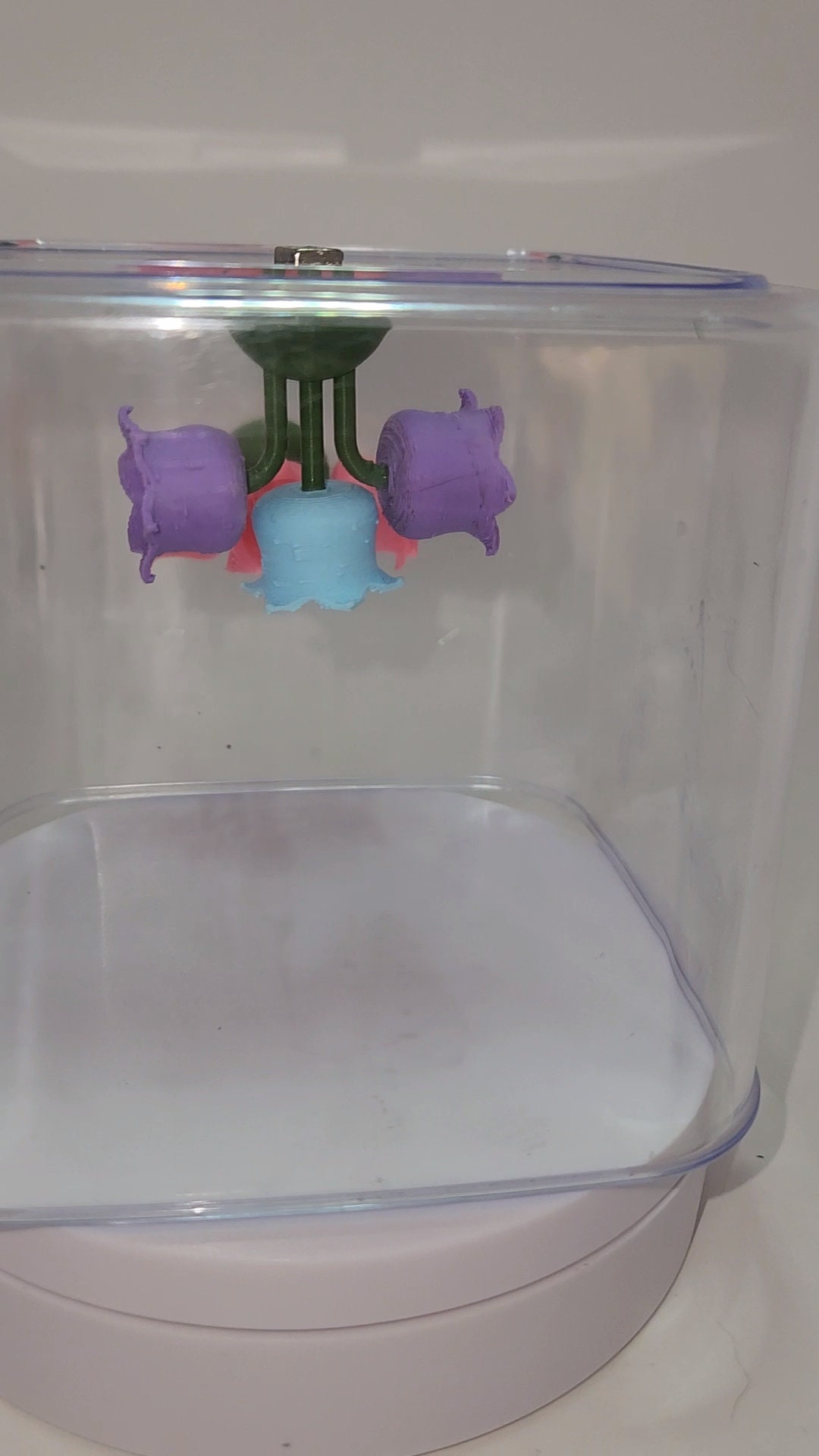 3D Printed Magnetic Jumping Spider Lily Flower Hide Decor - Etsy