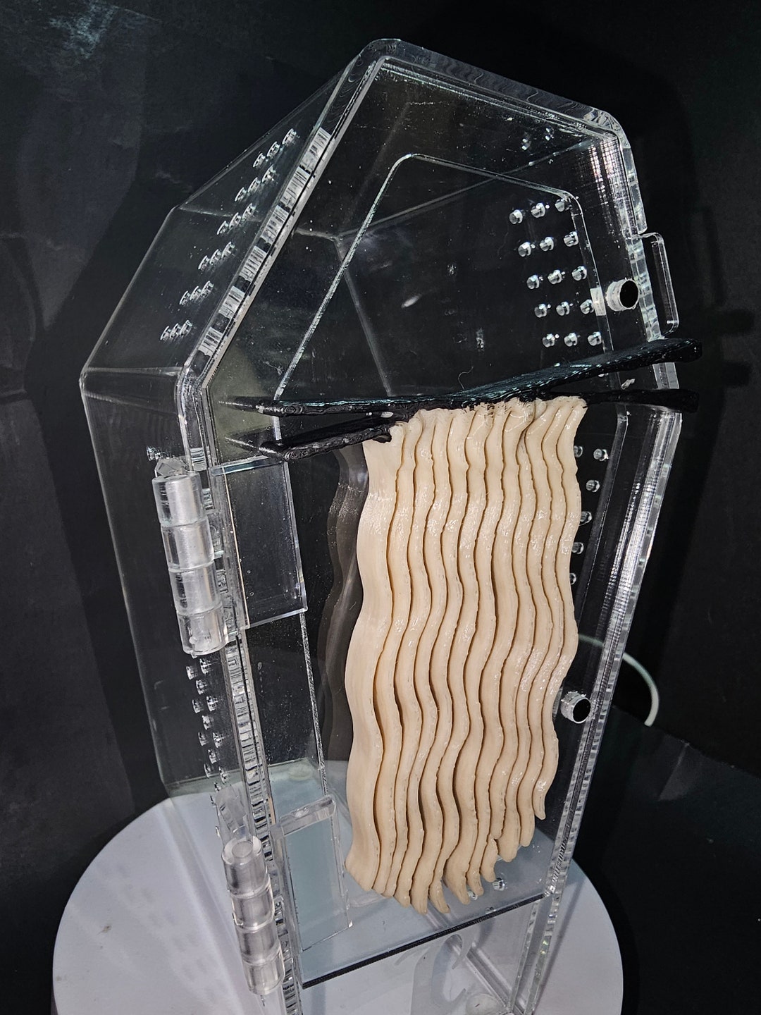 3D Printed Chopstick & Ramen Noodle Jumping Spider Terrarium Decor ...