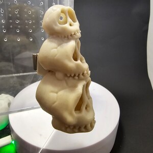 3D Printed Magnetic Pile of Skulls Jumping Spider Hide - Etsy