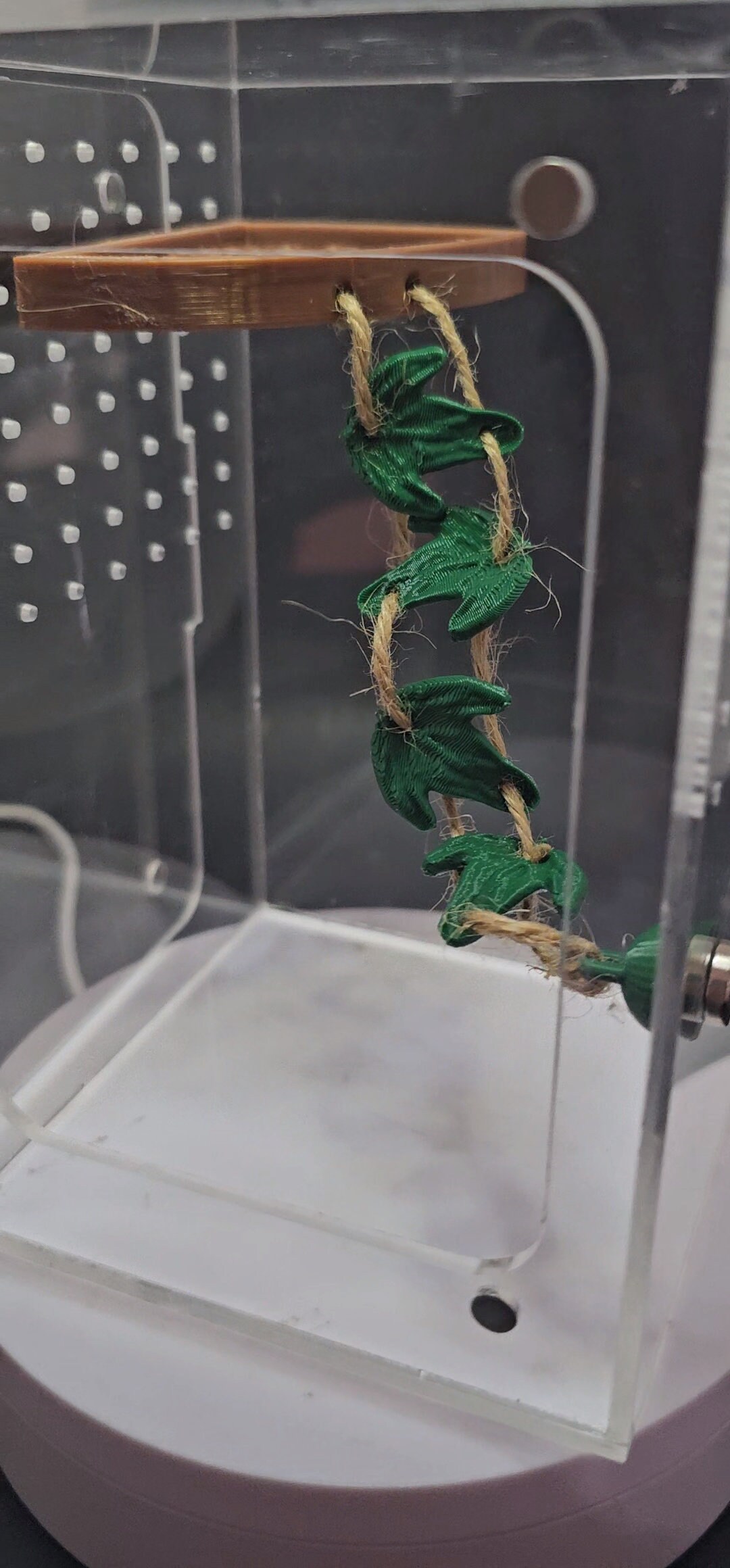 3D Printed Magnetic Cork Bark Hammock With Ivy Bridge Attached Jumping ...
