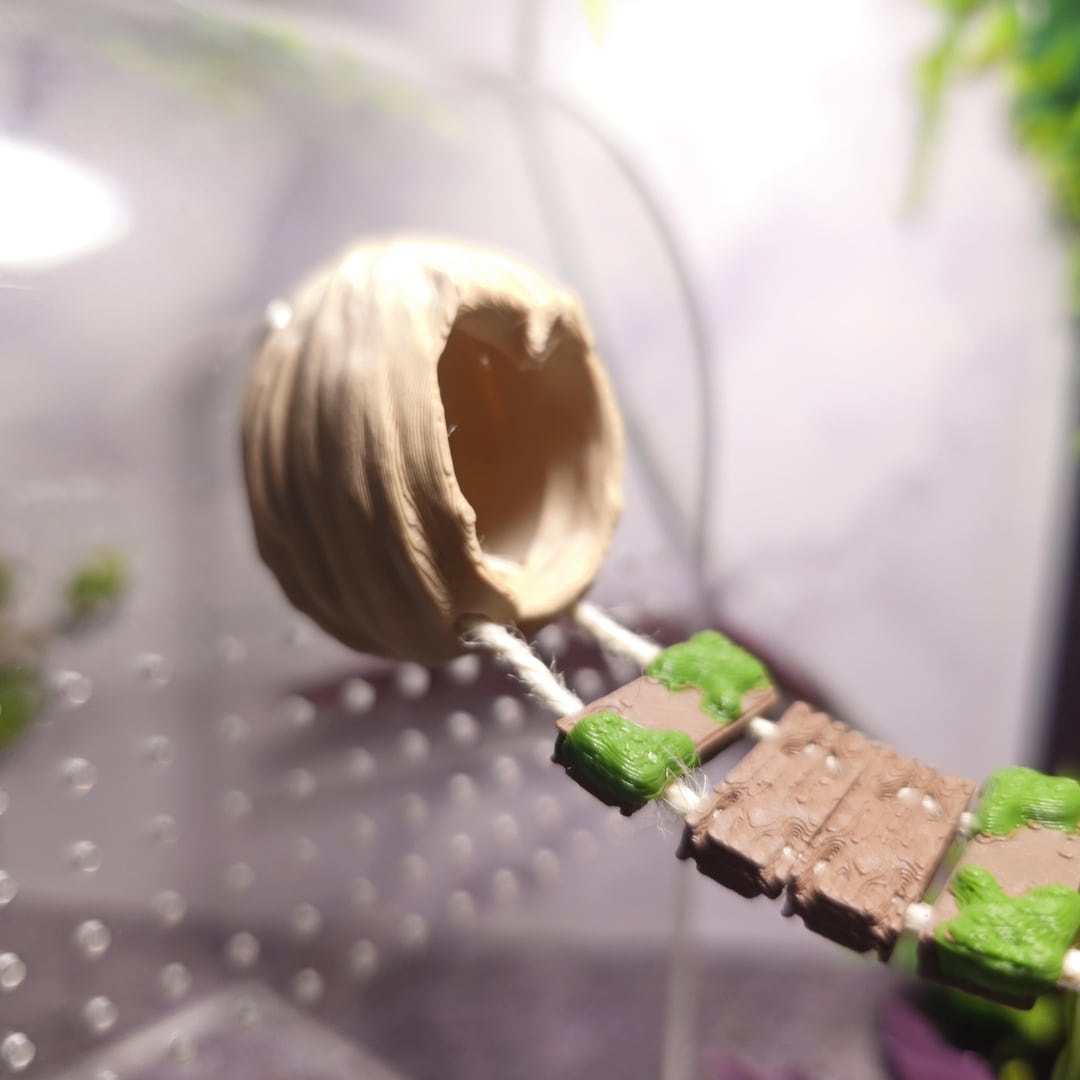 3D Printed Magnetic Open Back Walnut Hide With Mossy Plank Bridge ...