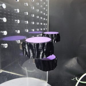 3D Printed Magnetic Spider Platforms Set of 3, Terrarium Platforms - Etsy