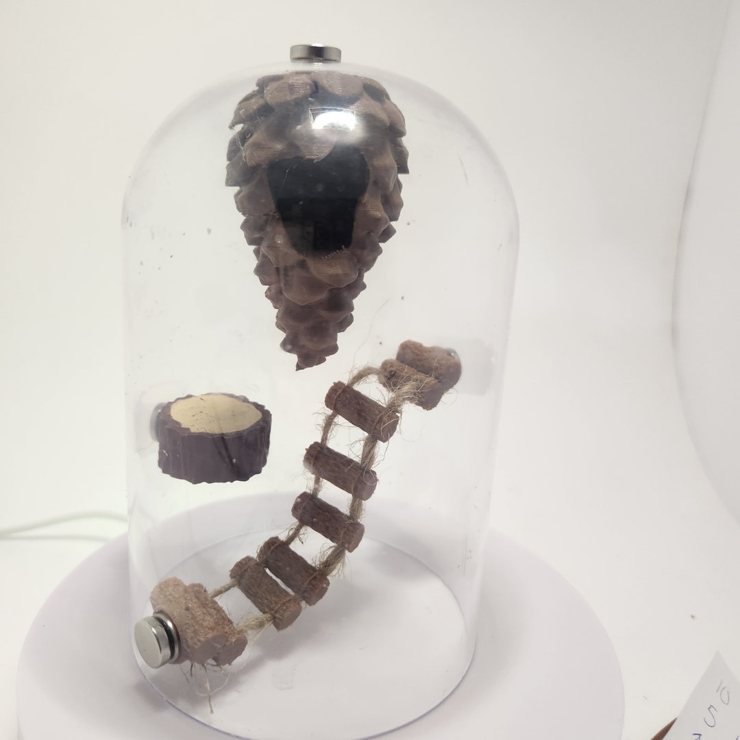 3D Printed Magnetic Pinecone Spider Hide - Etsy