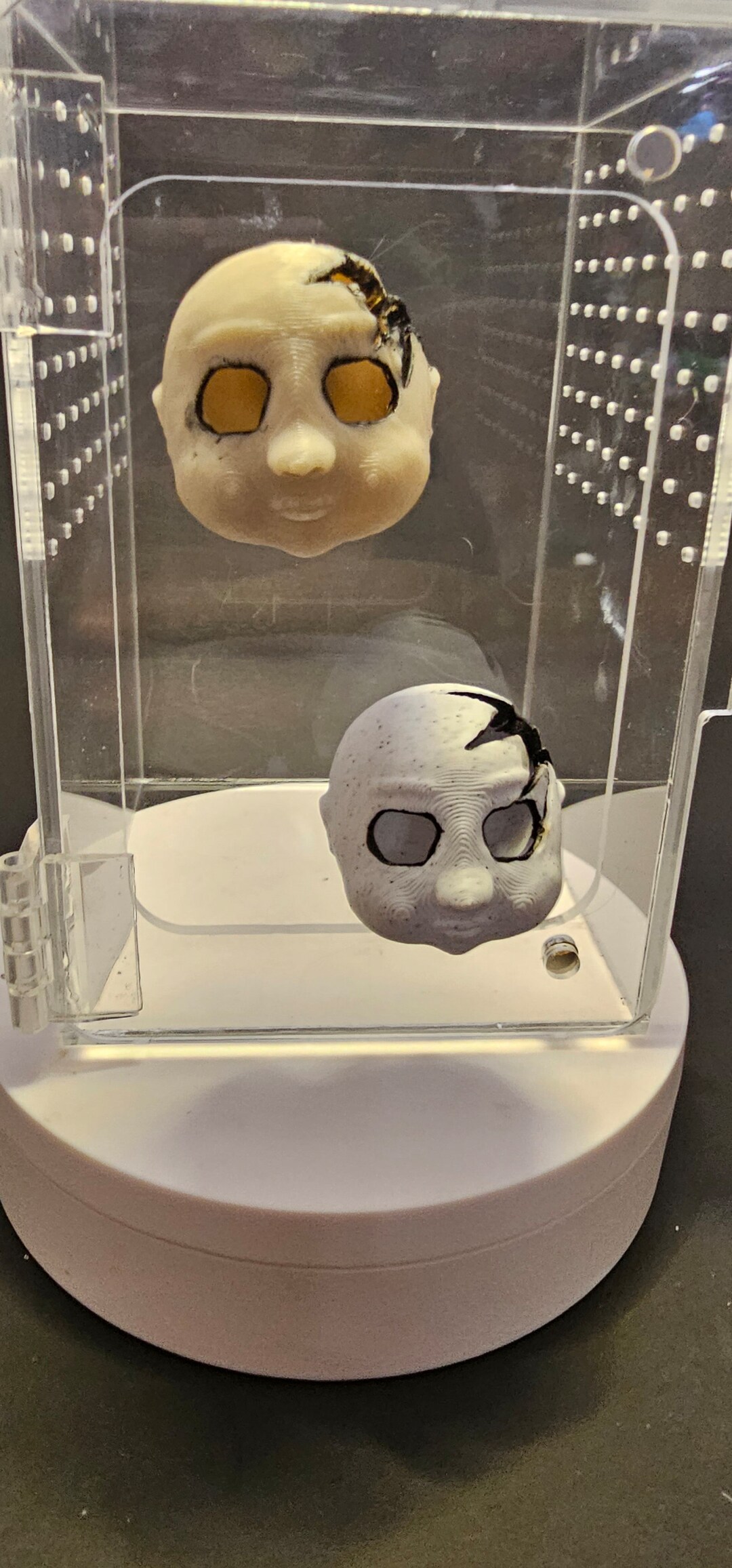 3D Printed Hollow Doll Head Hide Jumping Spider Hide - Etsy