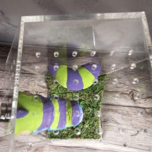 3D Printed Goofy Black and White Two-headed Worm Jumping Spider Hide ...