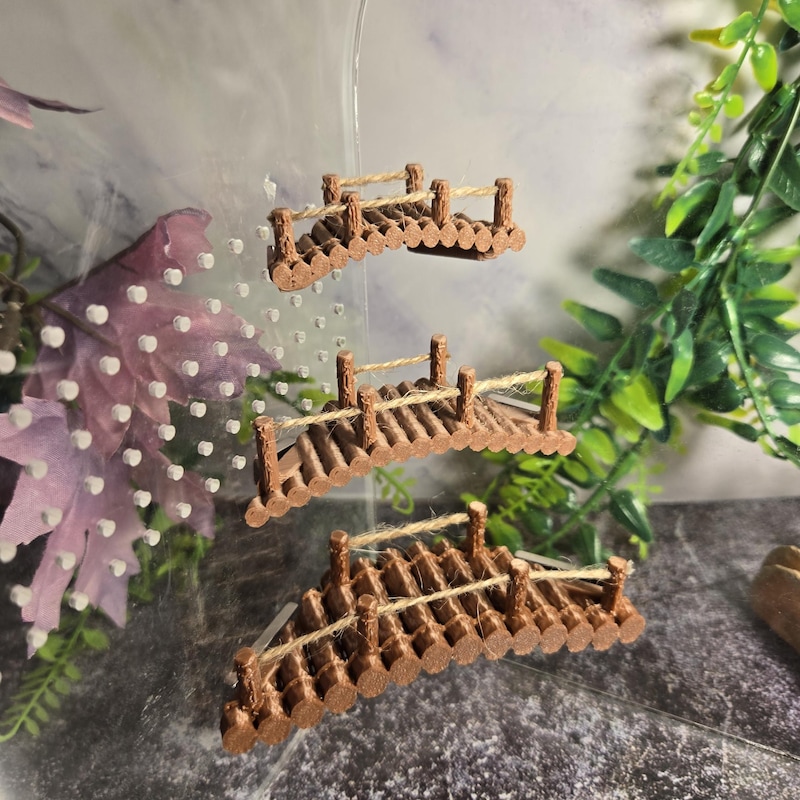 Spider Enclosure Decor Wood - Etsy