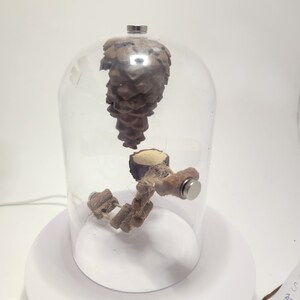 3D Printed Magnetic Pinecone Spider Hide - Etsy