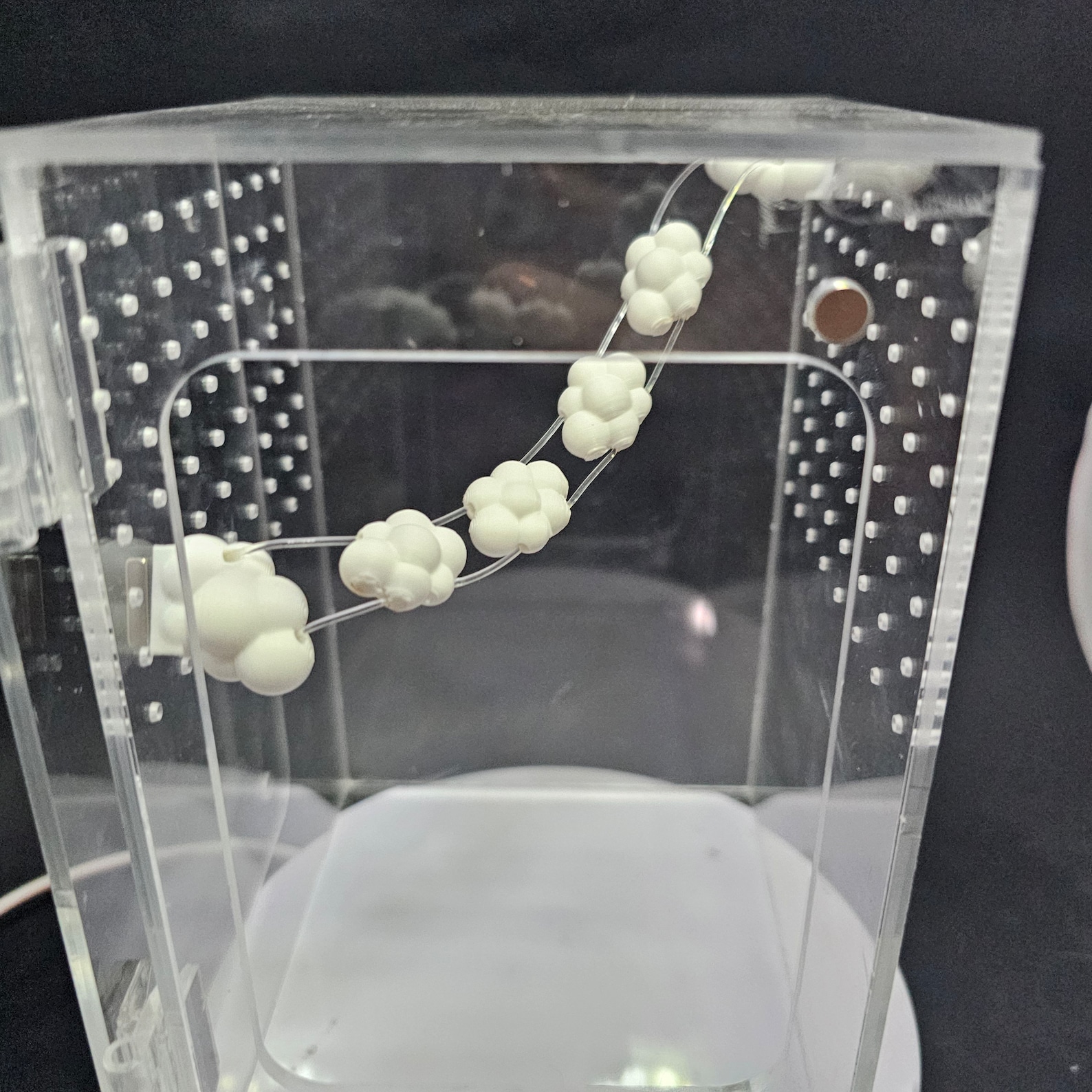 3D Printed Magnetic Cloud Bridge Jumping Spider Enclosure - Etsy