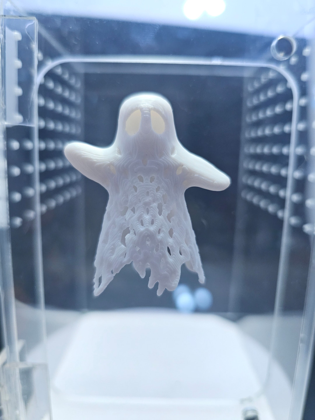 3D Printed Hollow Tattered Ghost Jumping Spider Hide - Etsy