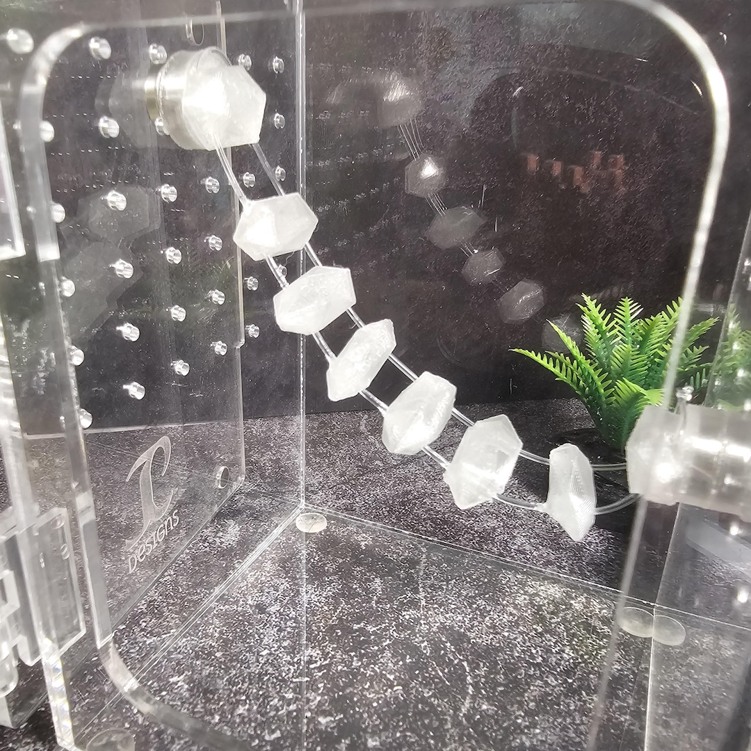 3D Printed Magnetic Crystal Bridge Jumping Spider Hide - Etsy